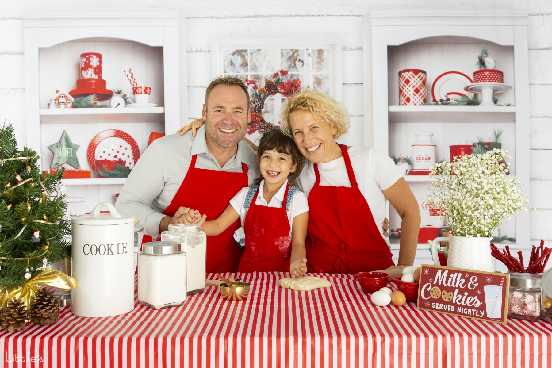 Holiday Mini Sessions - Are they right for your family? - Littles ...